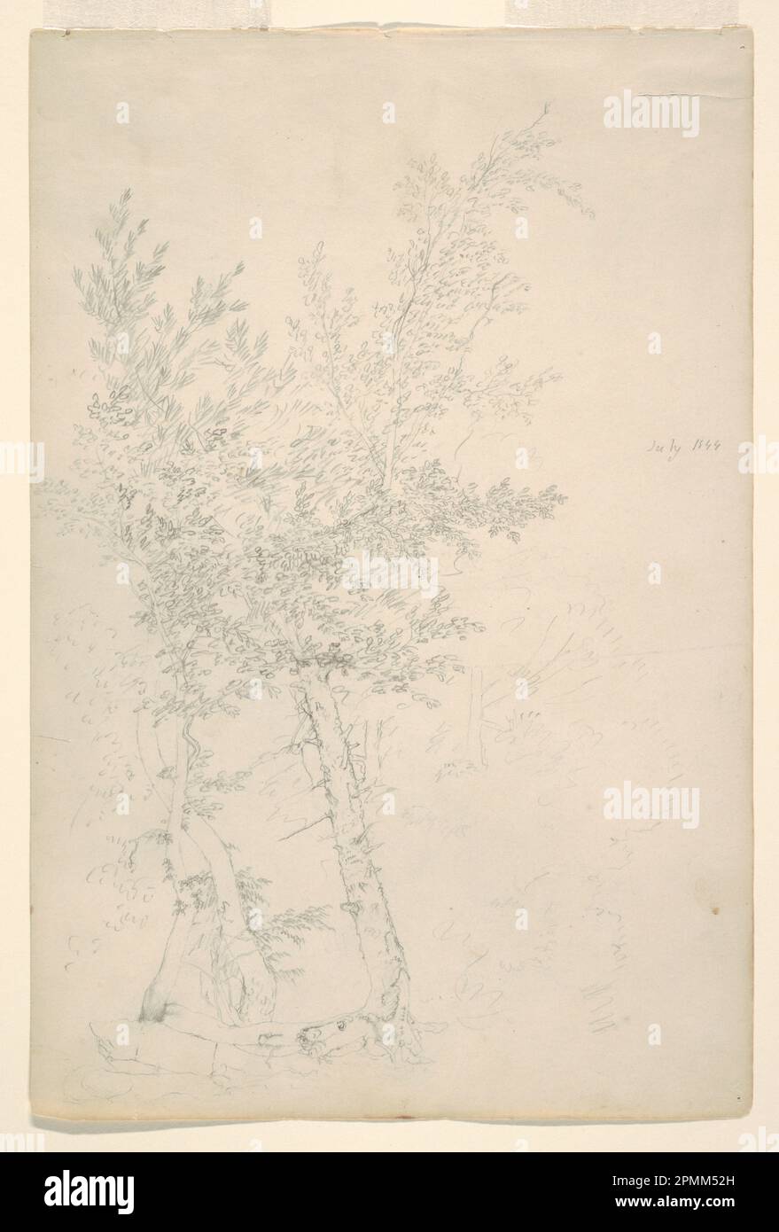 Drawing, A Group of Trees in a Hilly Countryside; Frederic Edwin Church ...
