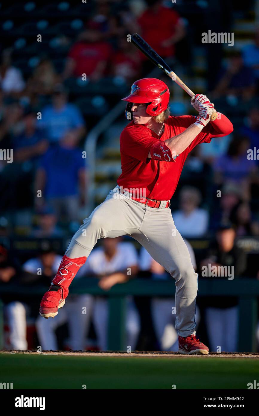 Clearwater Threshers Jordan Viars (33) bats during a MiLB Florida State ...
