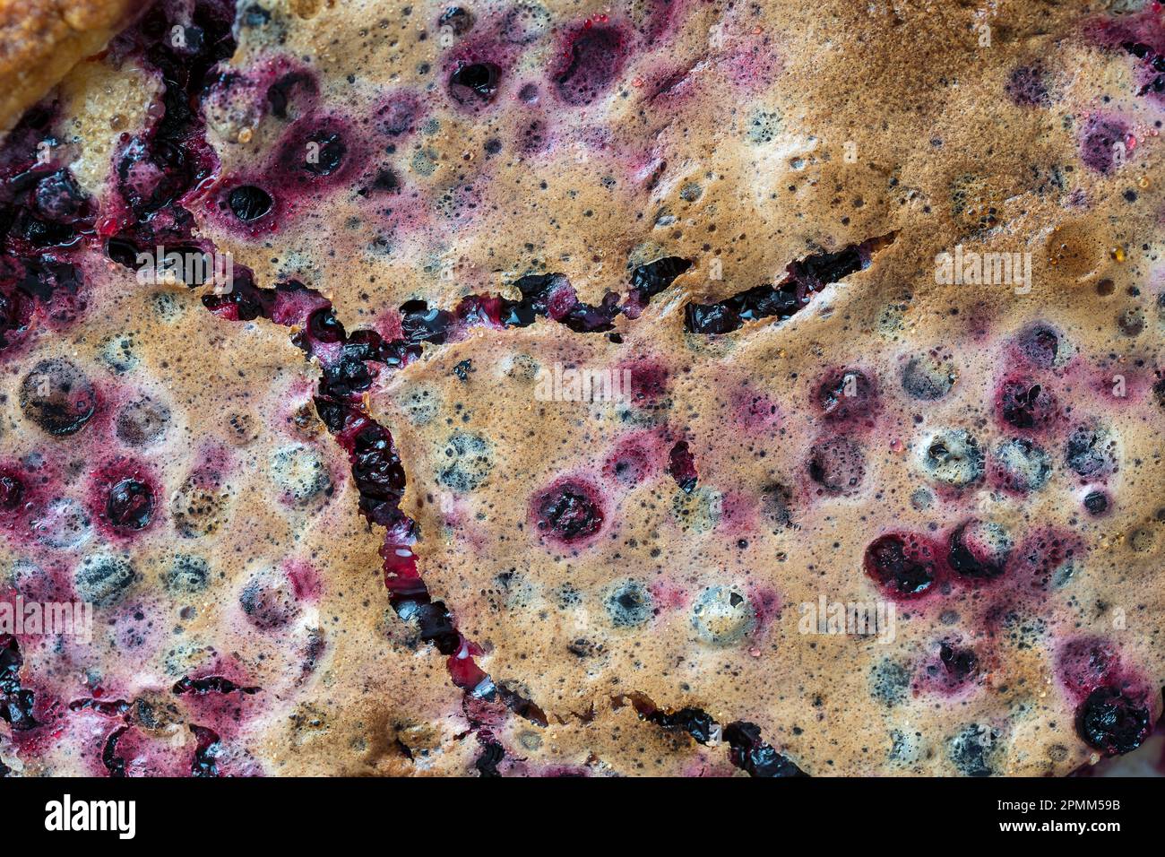 Cracked blueberry pie crust, macro. Homemade organic blueberry pie ...