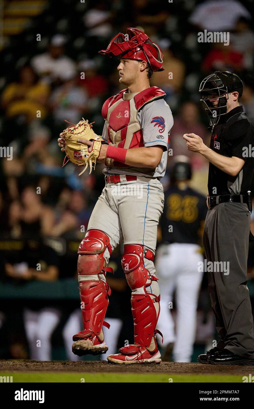 Clearwater Threshers catcher Caleb Ricketts (4) during an MiLB Florida ...