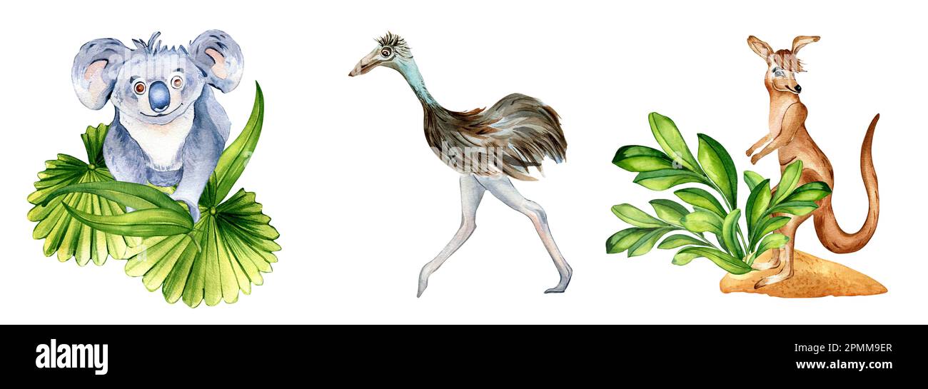 Kangaroo clipart hi-res stock photography and images - Alamy