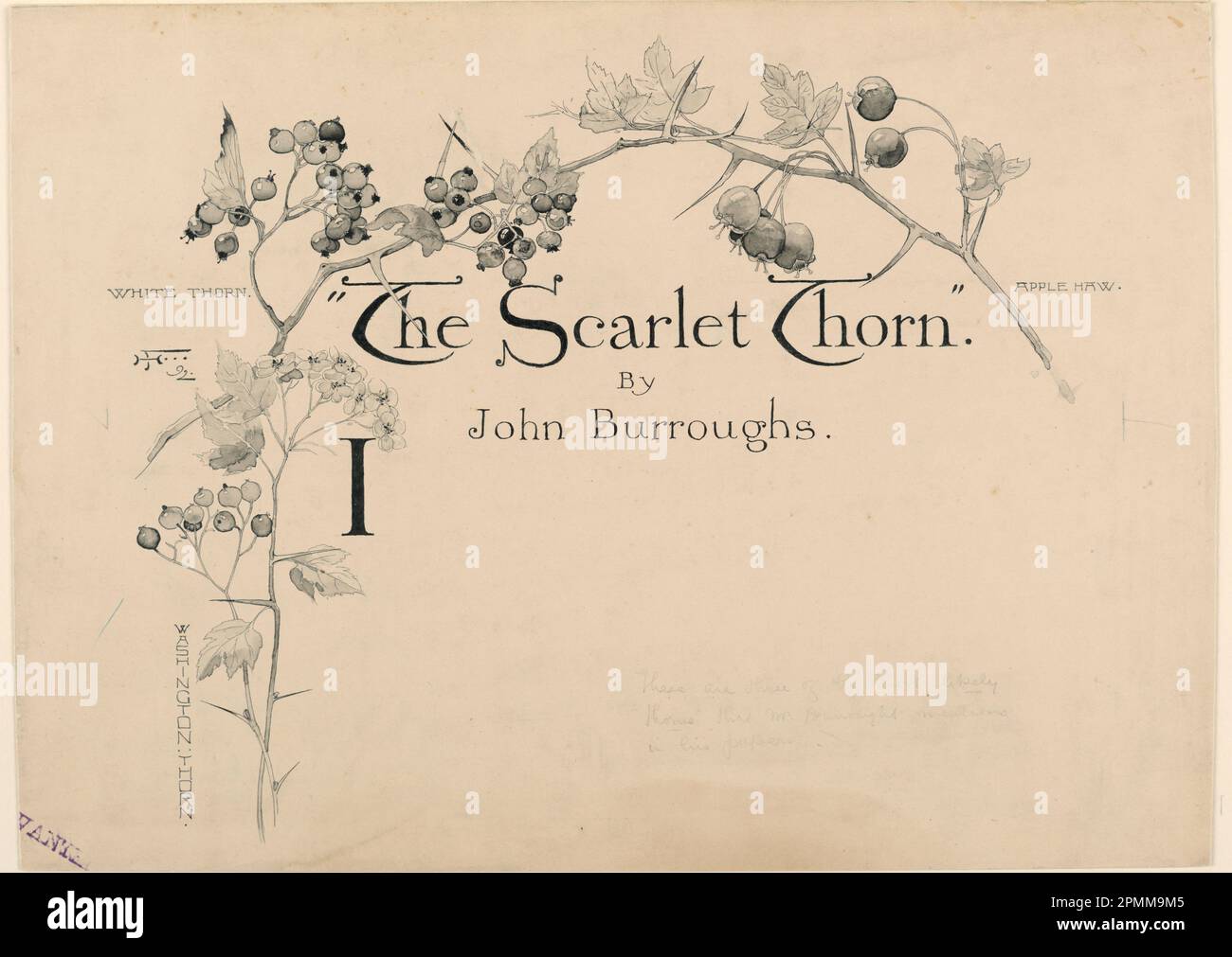 Drawing, Design for Title Page Heading of "The Scarlet Thorn" by John ...