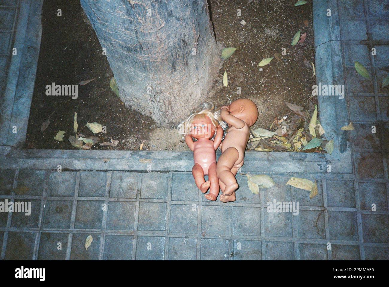 Baby Dolls Under the Tree Stock Photo - Alamy