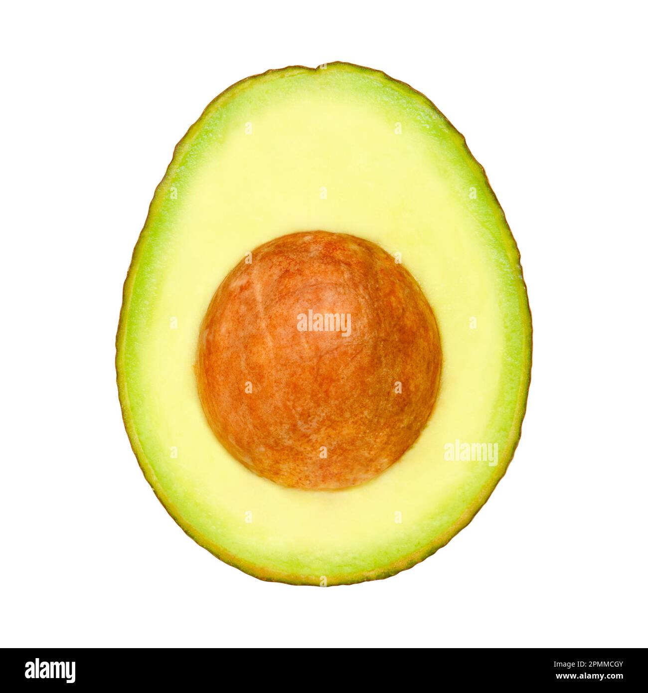 Half of avocado isolated on a white background. Stock photography Stock ...
