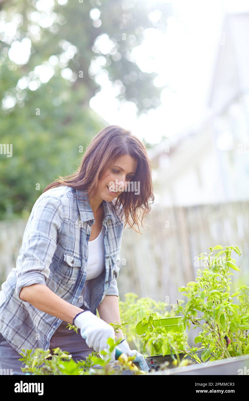 Life began in a garden. a beautiful woman working in her garden Stock ...