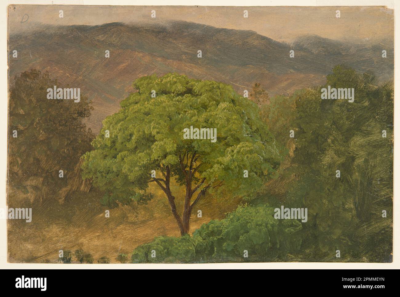 Drawing, Genip Tree in the Mountains, Jamaica; Frederic Edwin Church ...
