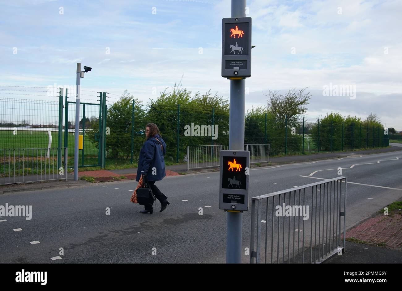 A view of a redhorse on a road crossing ahead of day two of the Randox ...