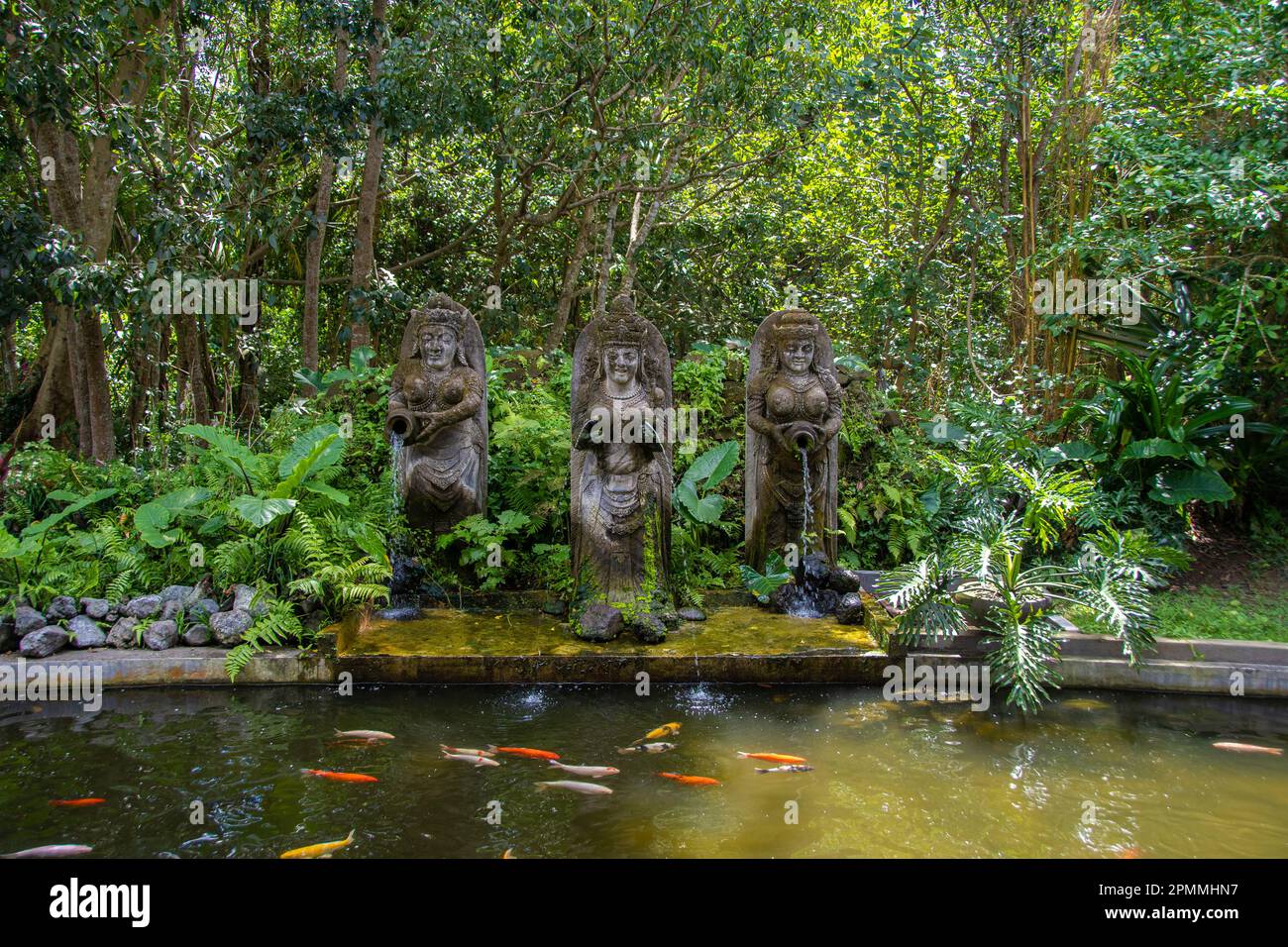Koi pond with Balinese stone sculptures in Monkey Forest in Ubud Stock ...