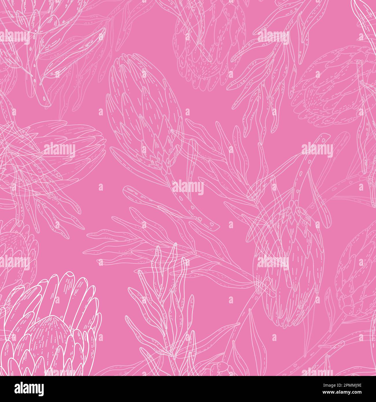 Hand drawn seamless pattern line art white flowers protea on a pink ...