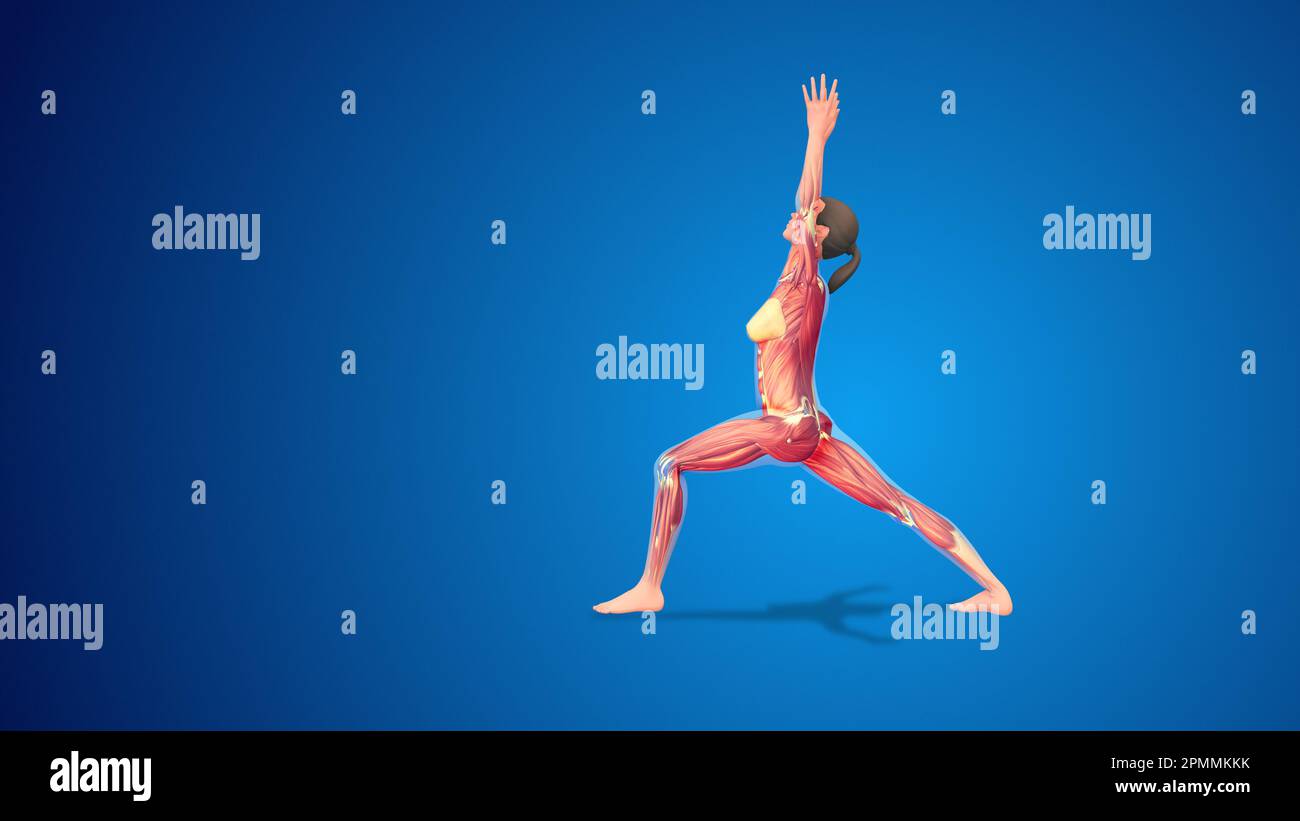3D human Virabhadrasana I Variation extended warrior I yoga pose on ...