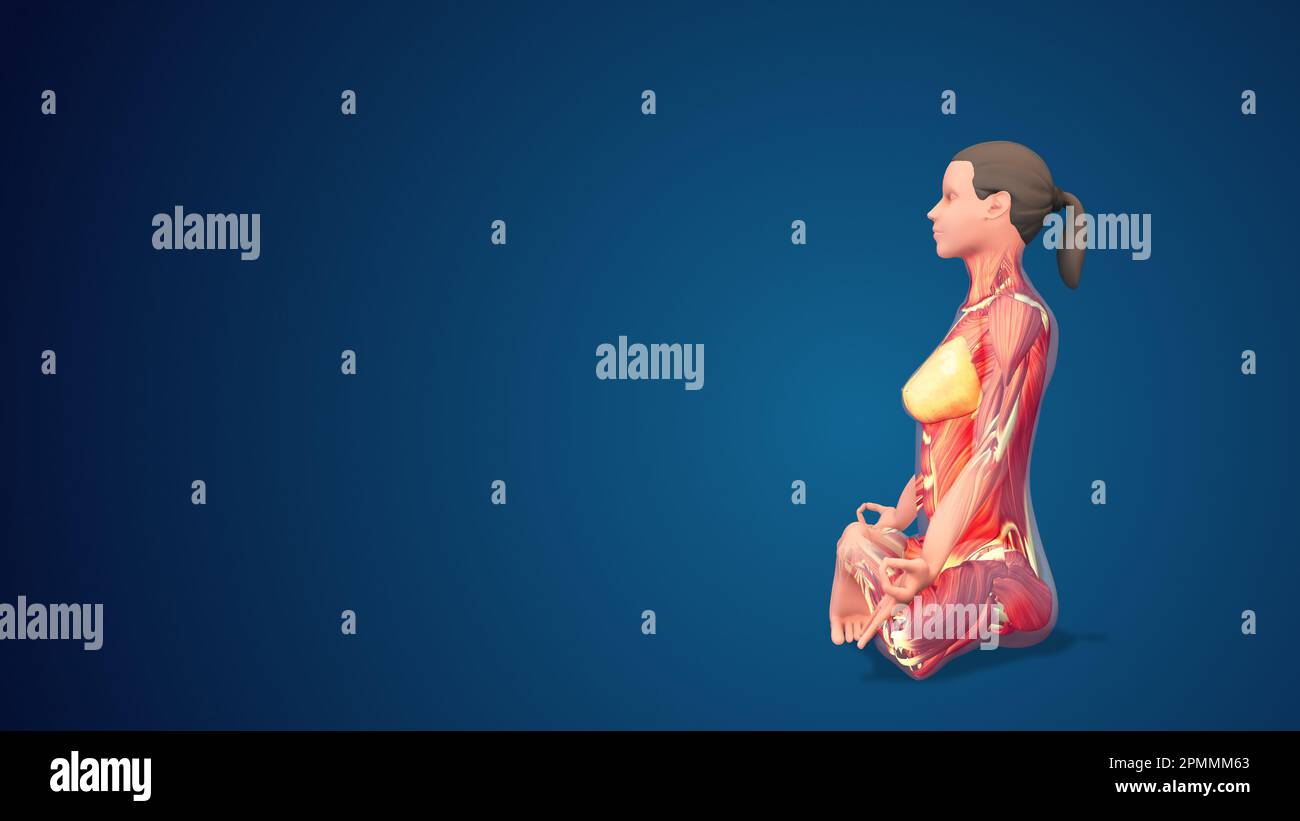 3D human Mulabandhasana or Root Lock yoga pose on blue background Stock ...