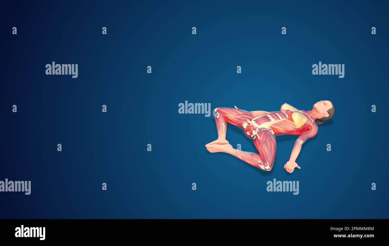 3D human Supta Baddha Konasana or Reclining Bound Angle variation Pose ...