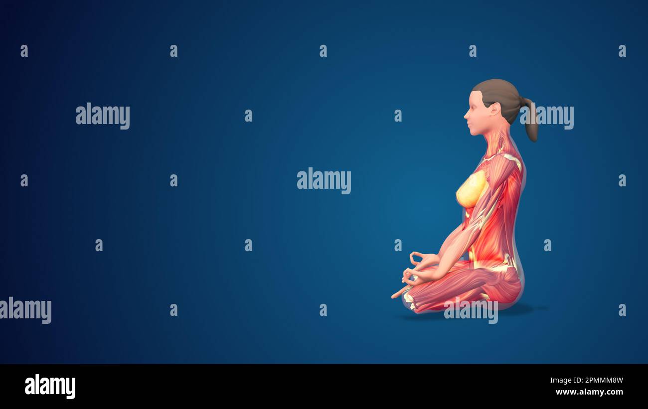 3D human Svastikasana or Auspicious yoga Pose on blue background Stock ...