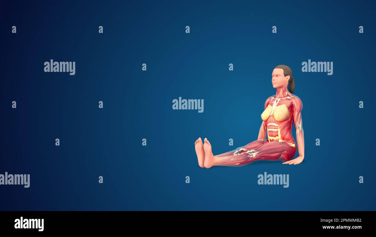 3D human Dandasana or Staff yoga pose on blue background Stock Photo ...