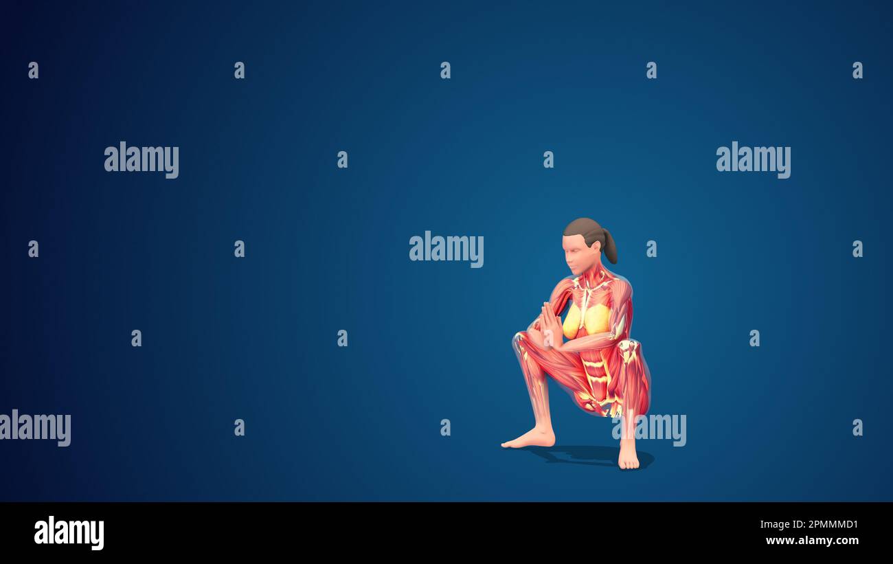 3D human Upavesasana or Squat—Sitting-Down yoga pose on blue background ...