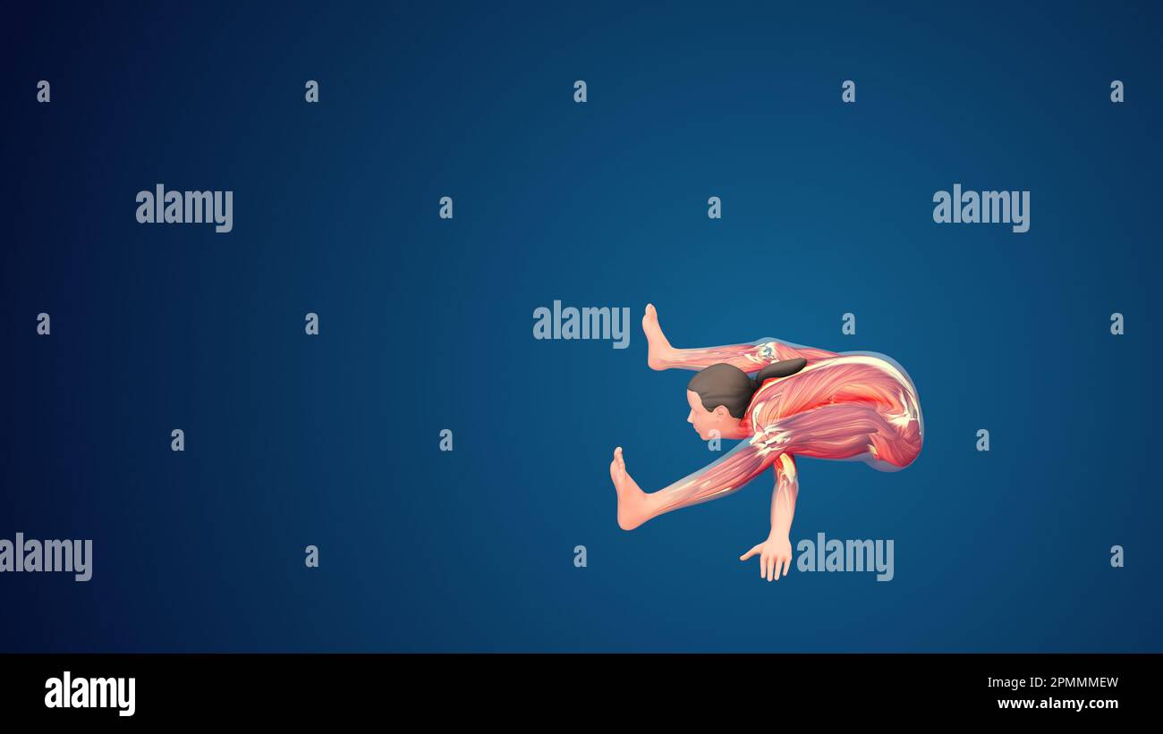 3D human Kurmasana or Turtle yoga pose on blue background Stock Photo ...