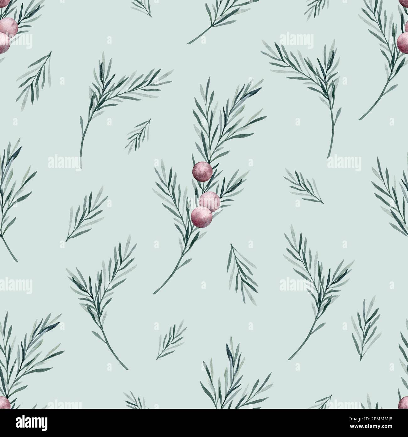 Watercolor rosemary seamless pattern. Winter print on mint background ...
