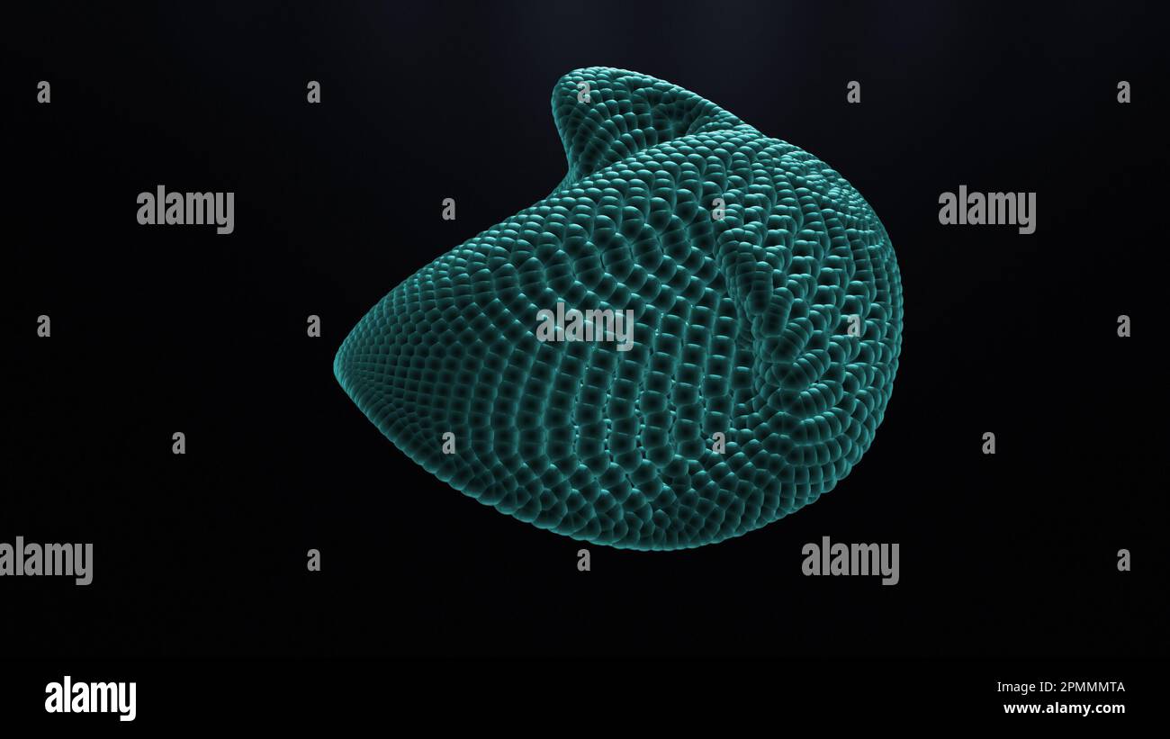 Abstract organic shape hi-res stock photography and images - Alamy