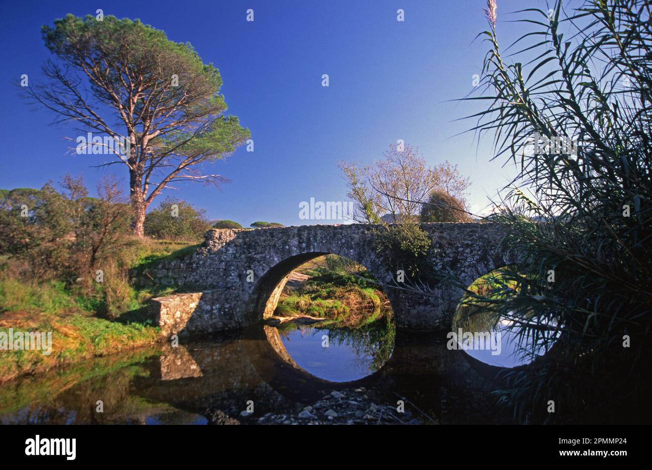 Old Roman bridge in the Maures Provence Provence Stock Photo - Alamy