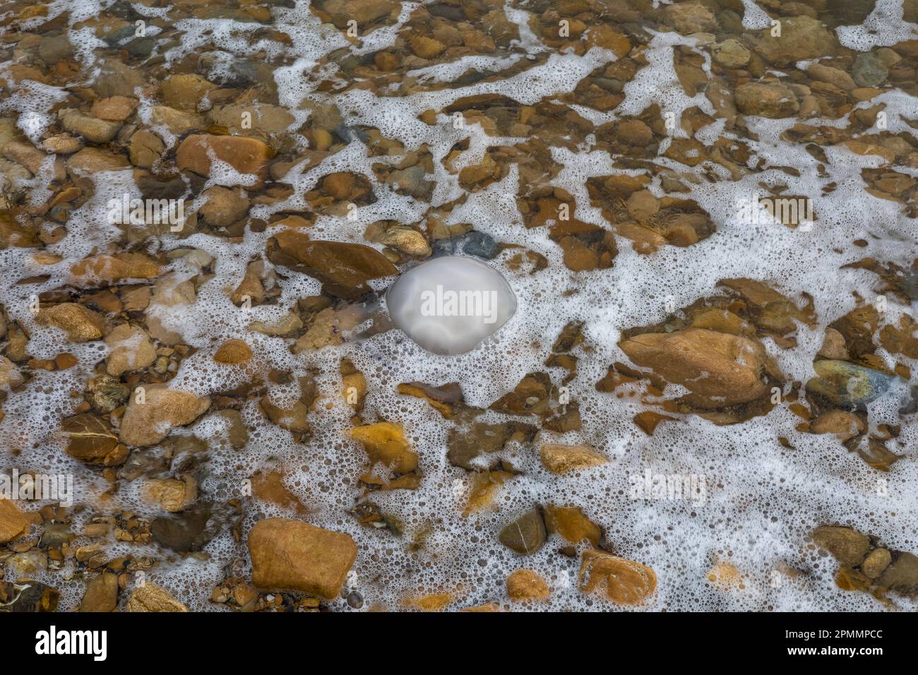 Rustic beach with rocks and sand Stock Photo - Alamy