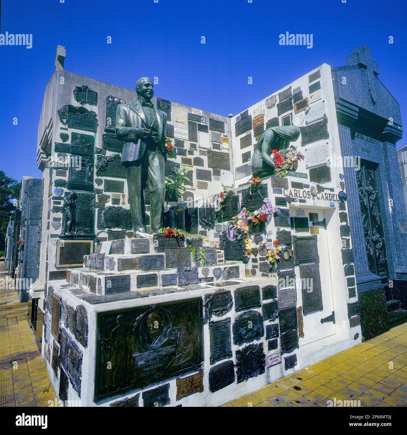 Cardel hi-res stock photography and images - Alamy