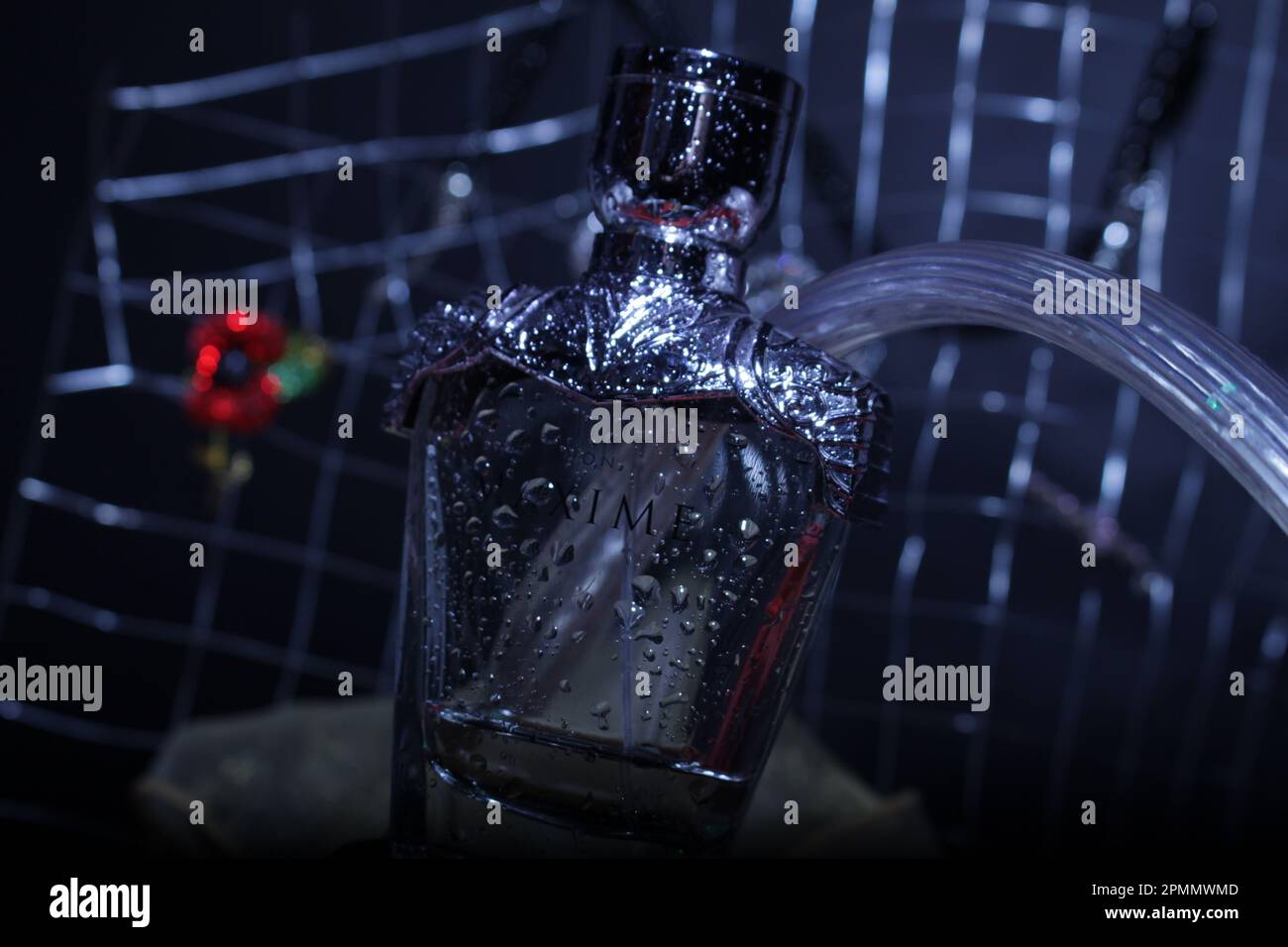 Perfume showcase hi-res stock photography and images - Alamy