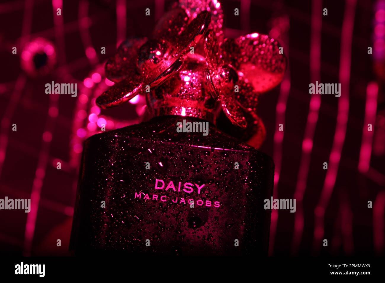 Daisy Marc Jacobs Stock Photo - Alamy