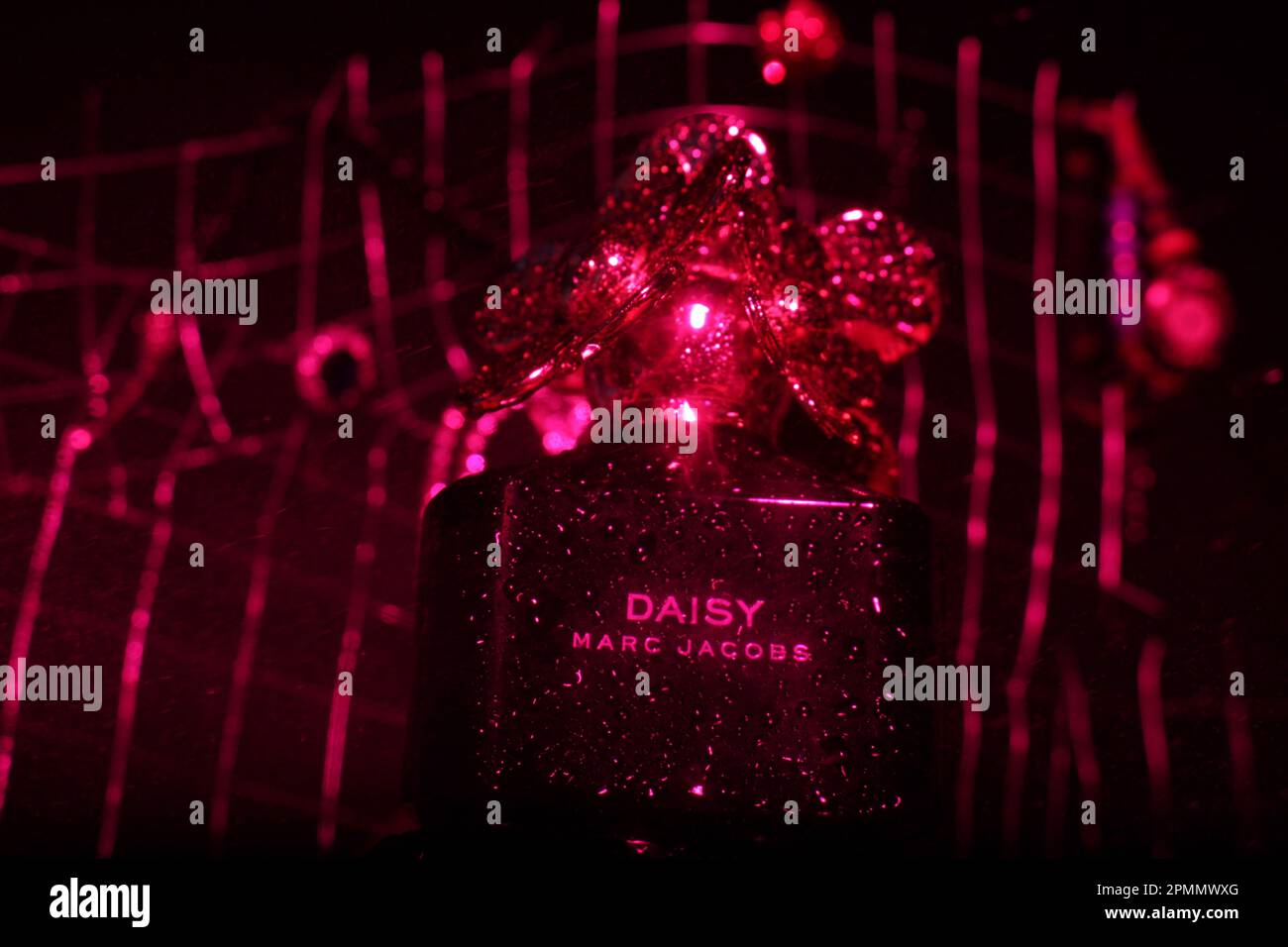 Daisy Marc Jacobs Stock Photo - Alamy