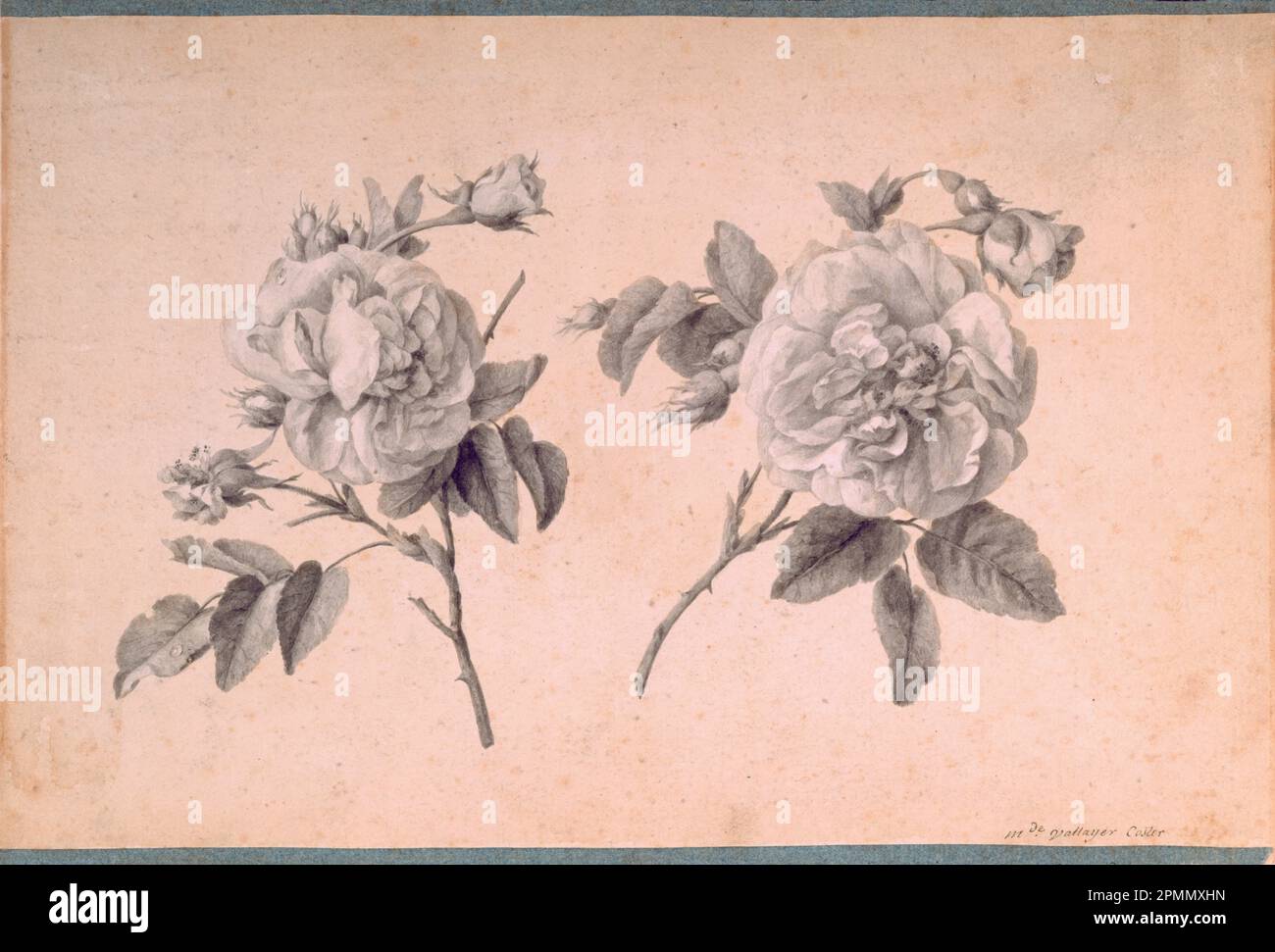 Anne vallayer coster hi-res stock photography and images - Alamy