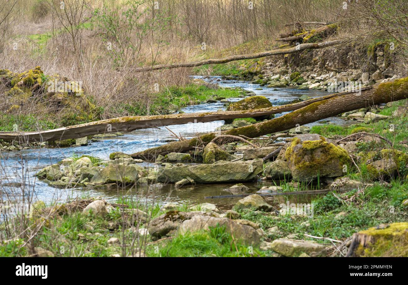 Riparian scenery around the Grimmbach, a small river in the Hohenlohe ...