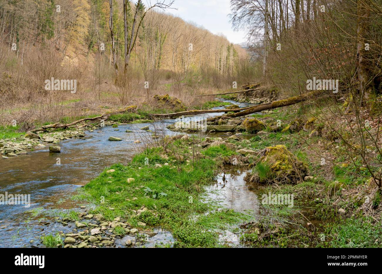 Riparian scenery around the Grimmbach, a small river in the Hohenlohe ...