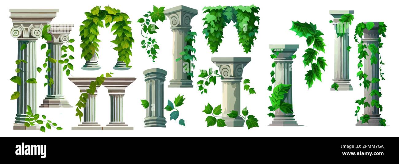 set vector illustration of antic arch with green leaves and plant ...
