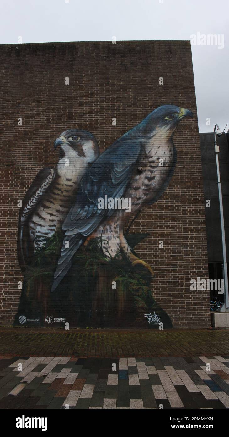 Debry Photo Festival - 2023 Stock Photo - Alamy