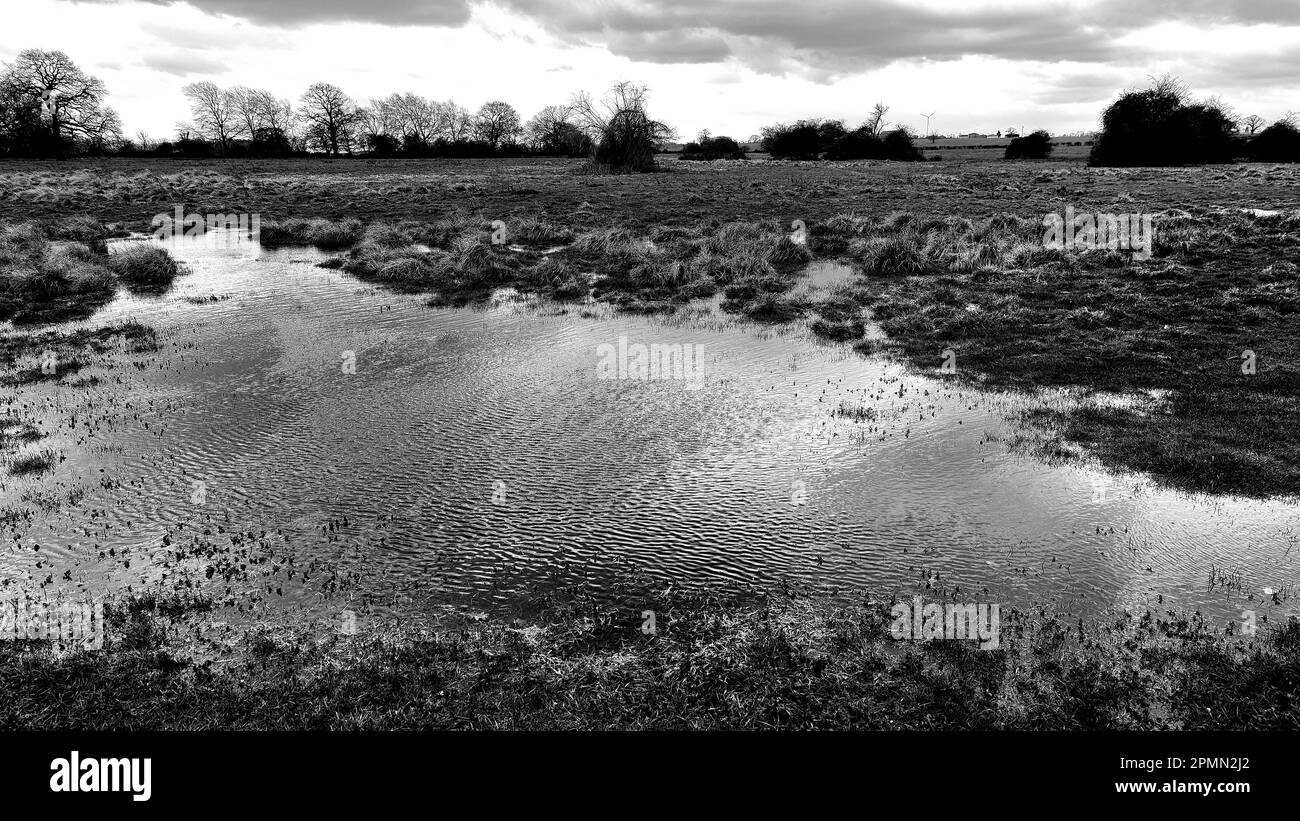 Landscape water grass in Black and White Stock Photos & Images - Alamy