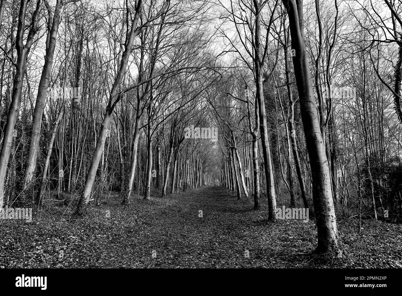 Air peaceful Black and White Stock Photos & Images - Alamy