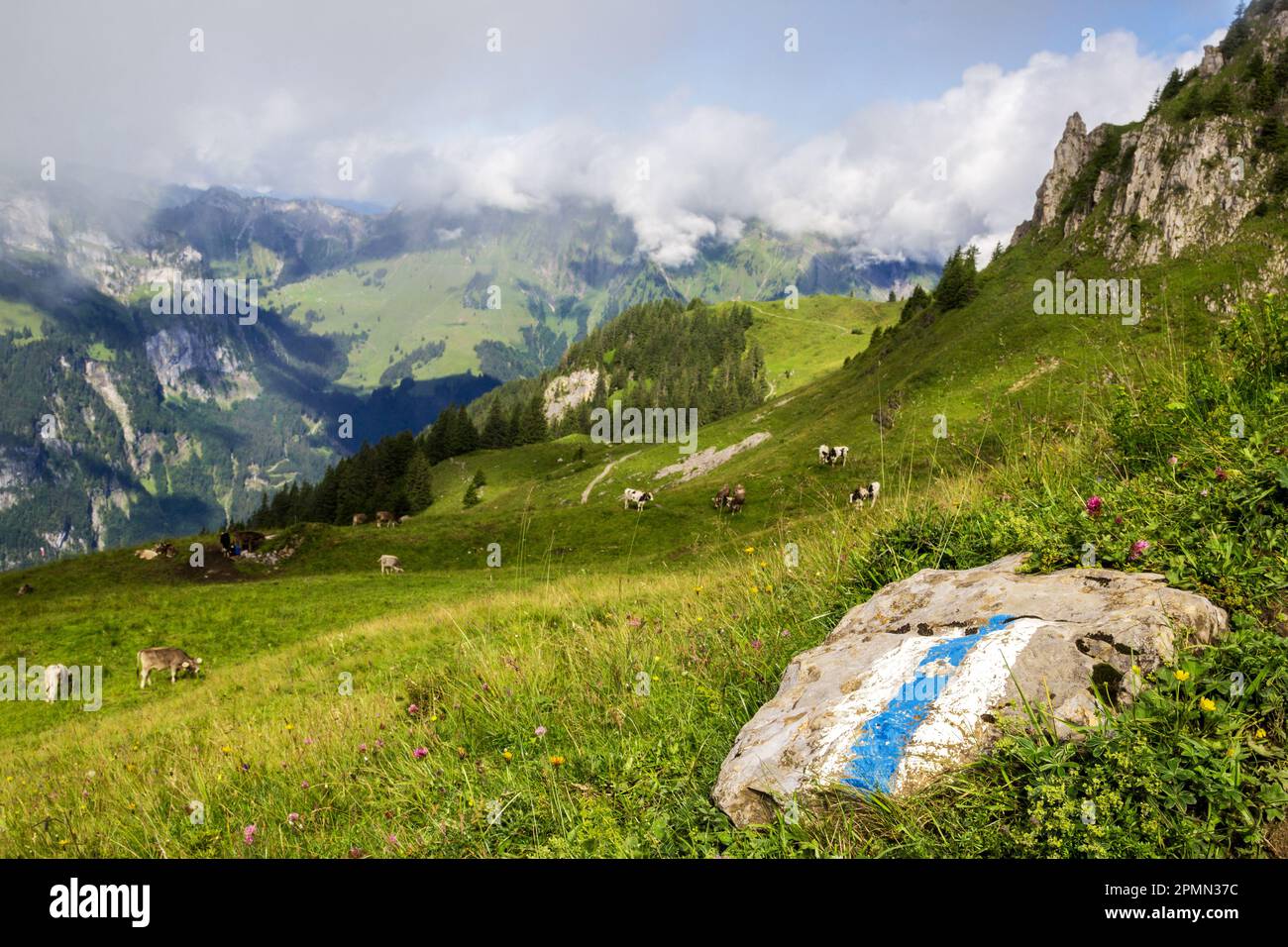 Hiking trails on the Swiss Alps, marked by a blue and white bars ...
