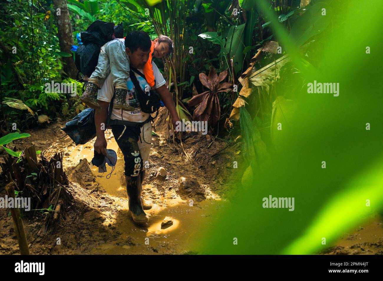 An Ecuadorian migrant, carrying his daughter, walks through a muddy ...