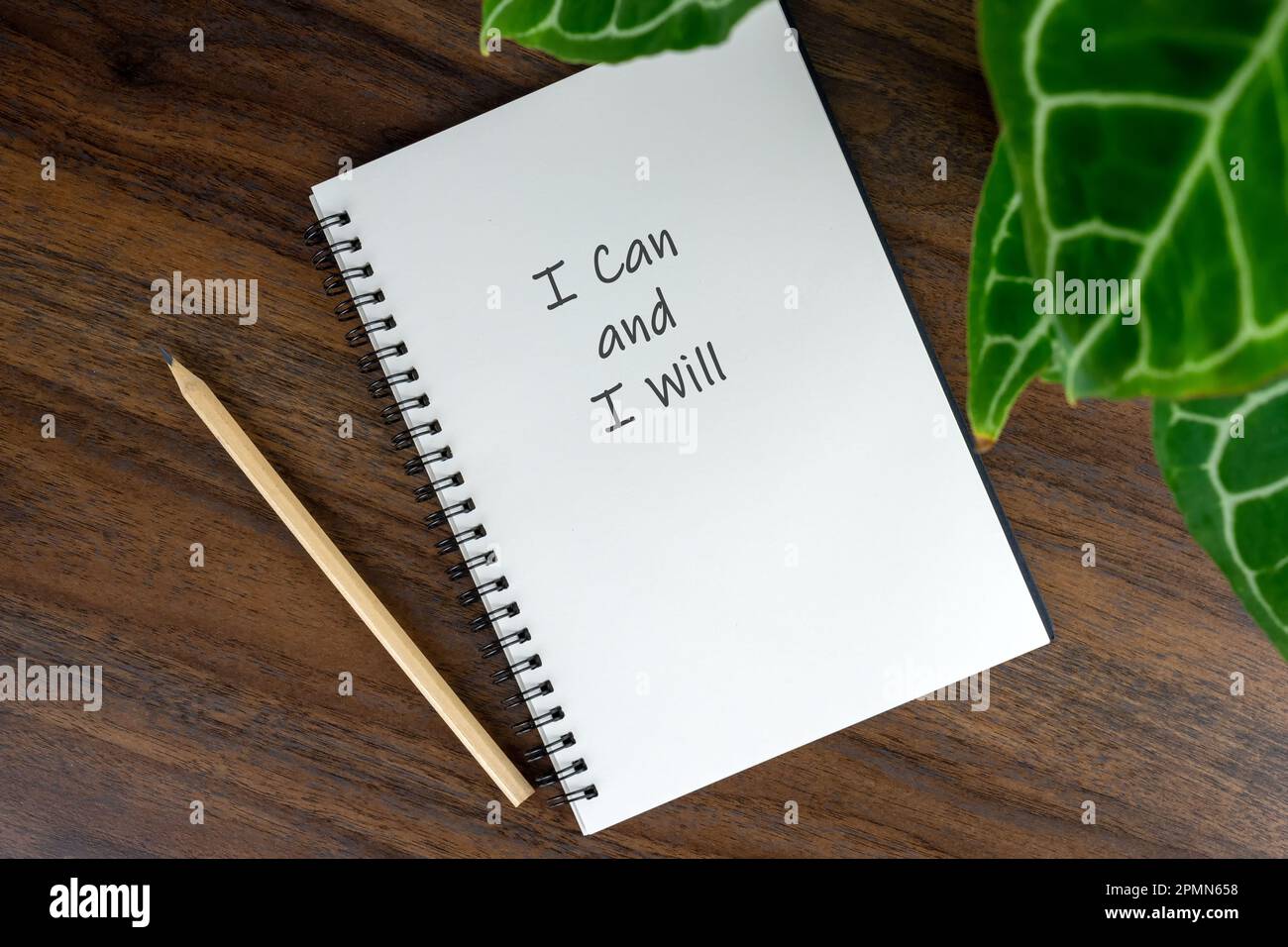 Can text on notepad hi-res stock photography and images - Alamy