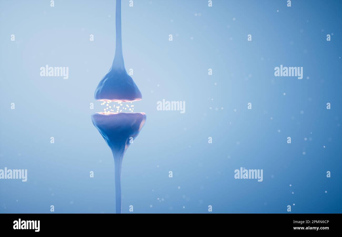 Synapse of neuron cell, biology concept, 3d rendering. Digital drawing ...