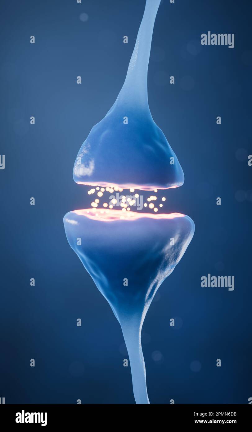 Synapse of neuron cell, biology concept, 3d rendering. Digital drawing ...