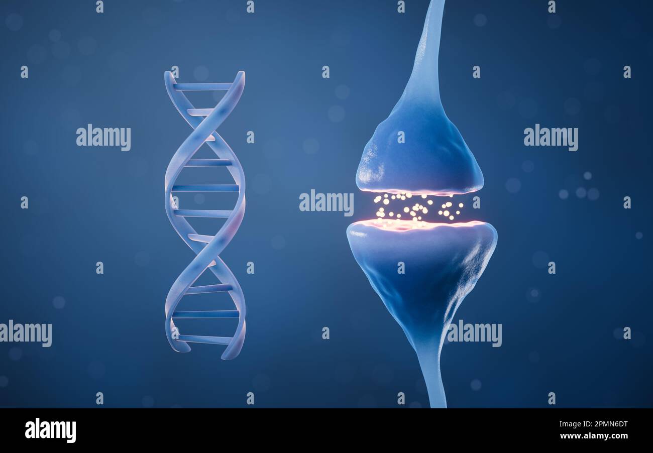 Synapse of neuron cell and DNA, 3d rendering. Digital drawing Stock ...