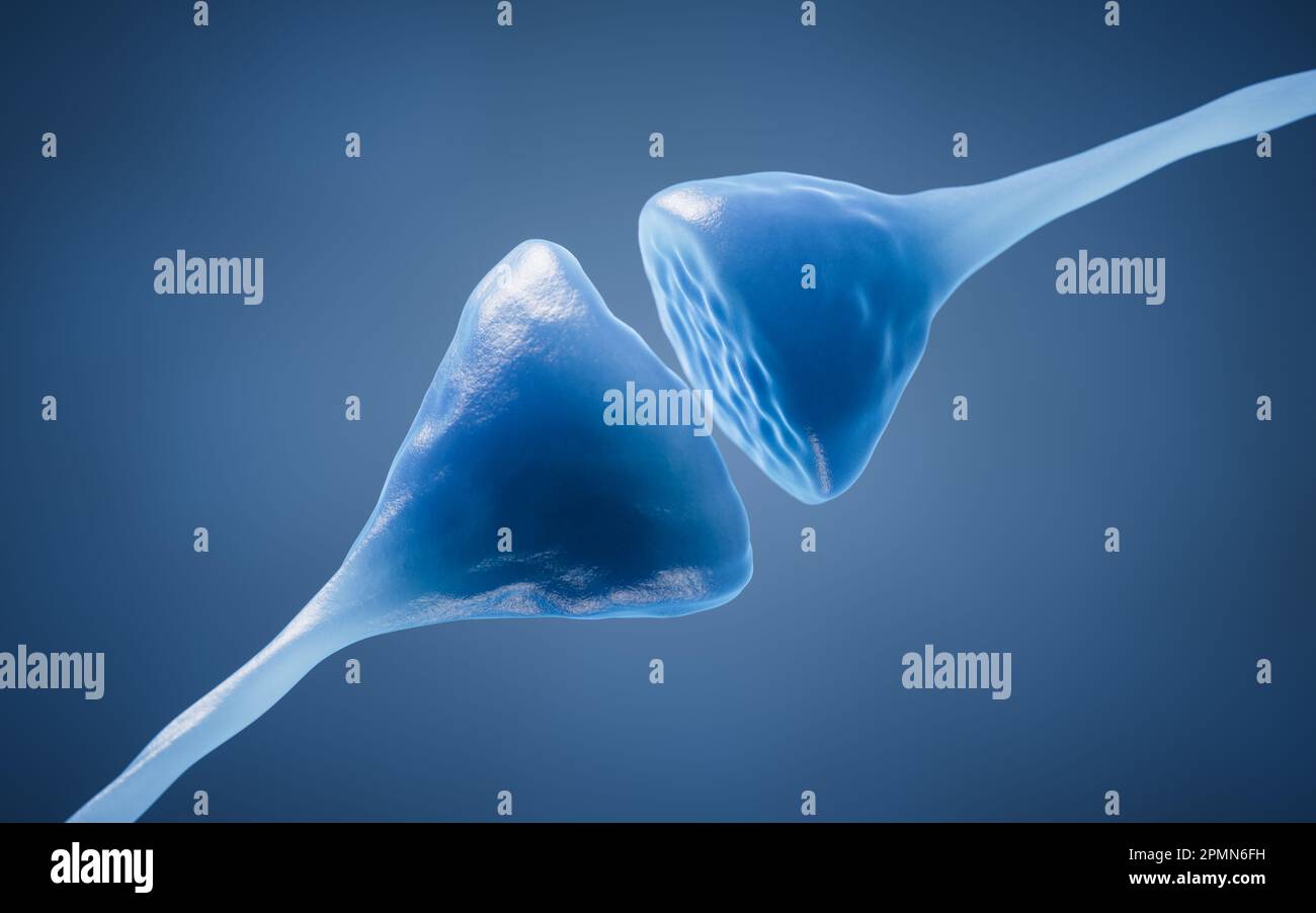 Synapse of neuron cell, biology concept, 3d rendering. Digital drawing ...