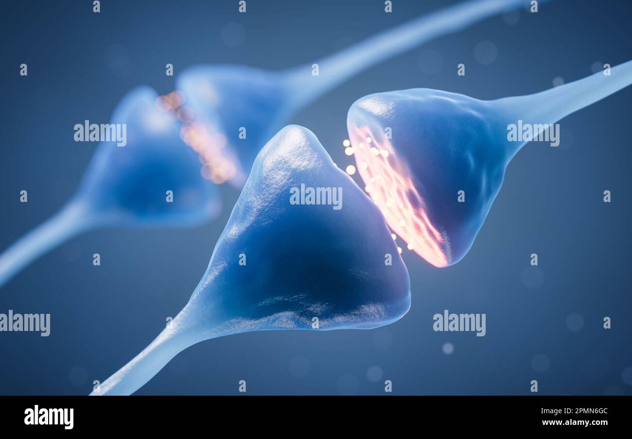 Synapse of neuron cell, biology concept, 3d rendering. Digital drawing Stock Photo - Alamy