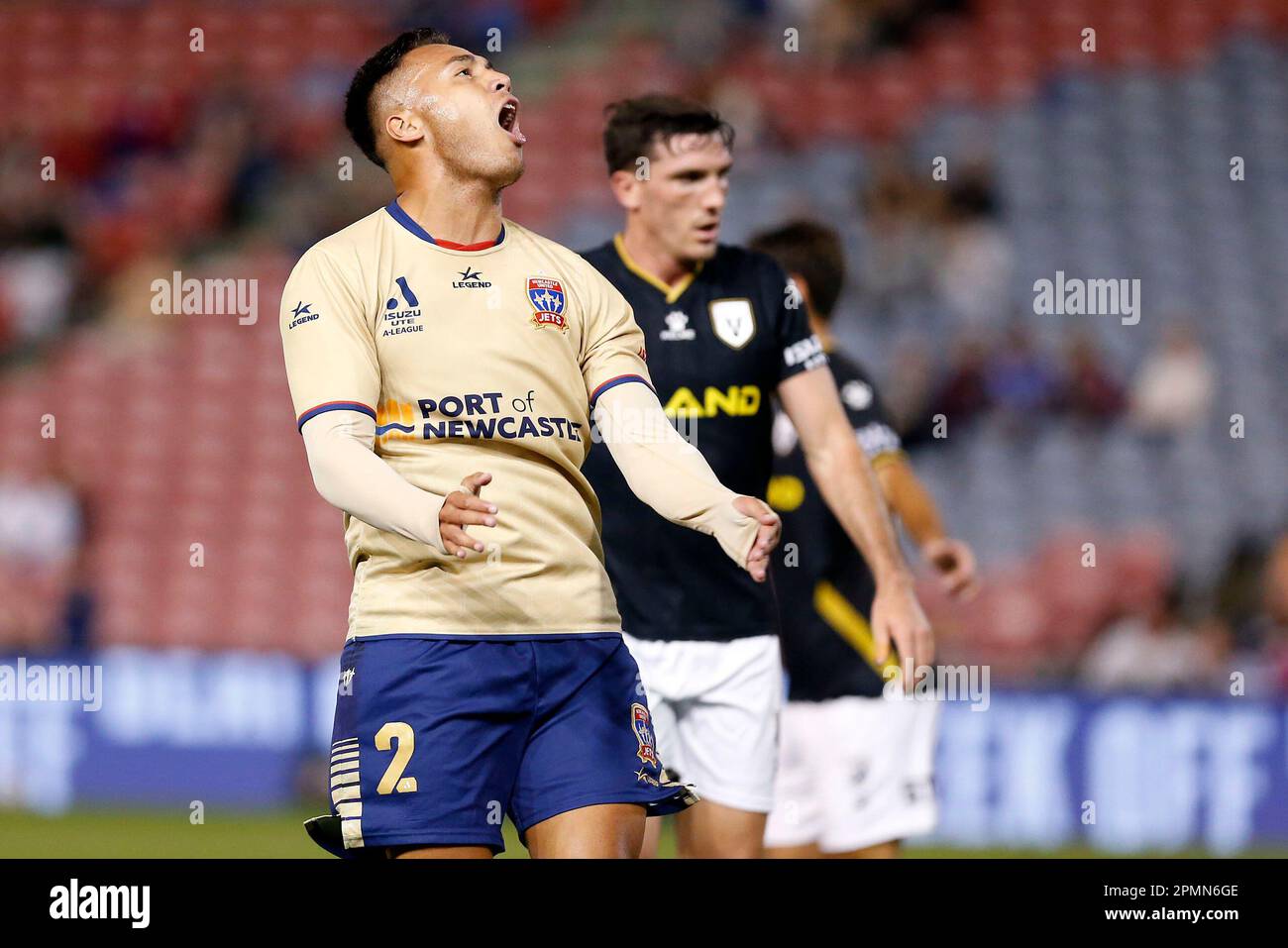 Dane Ingham of the Jets reacts during the A-League Men's soccer match ...