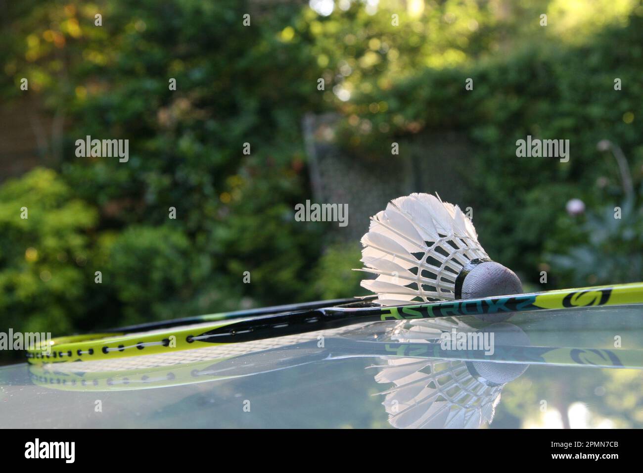 Badminton racquet and shuttle in garden Stock Photo - Alamy