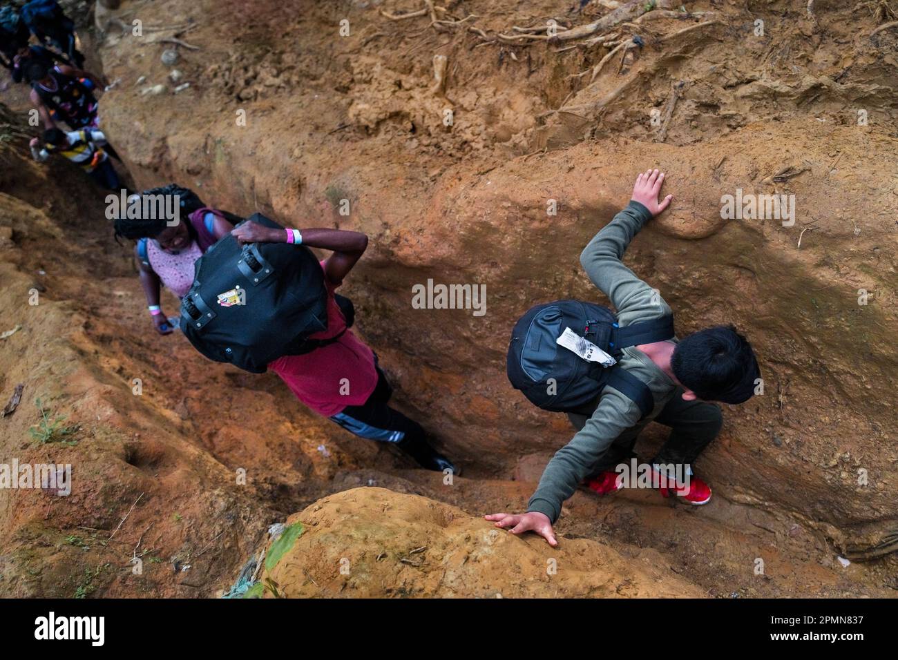 A group of migrants walks through a narrow trail in the wild and ...