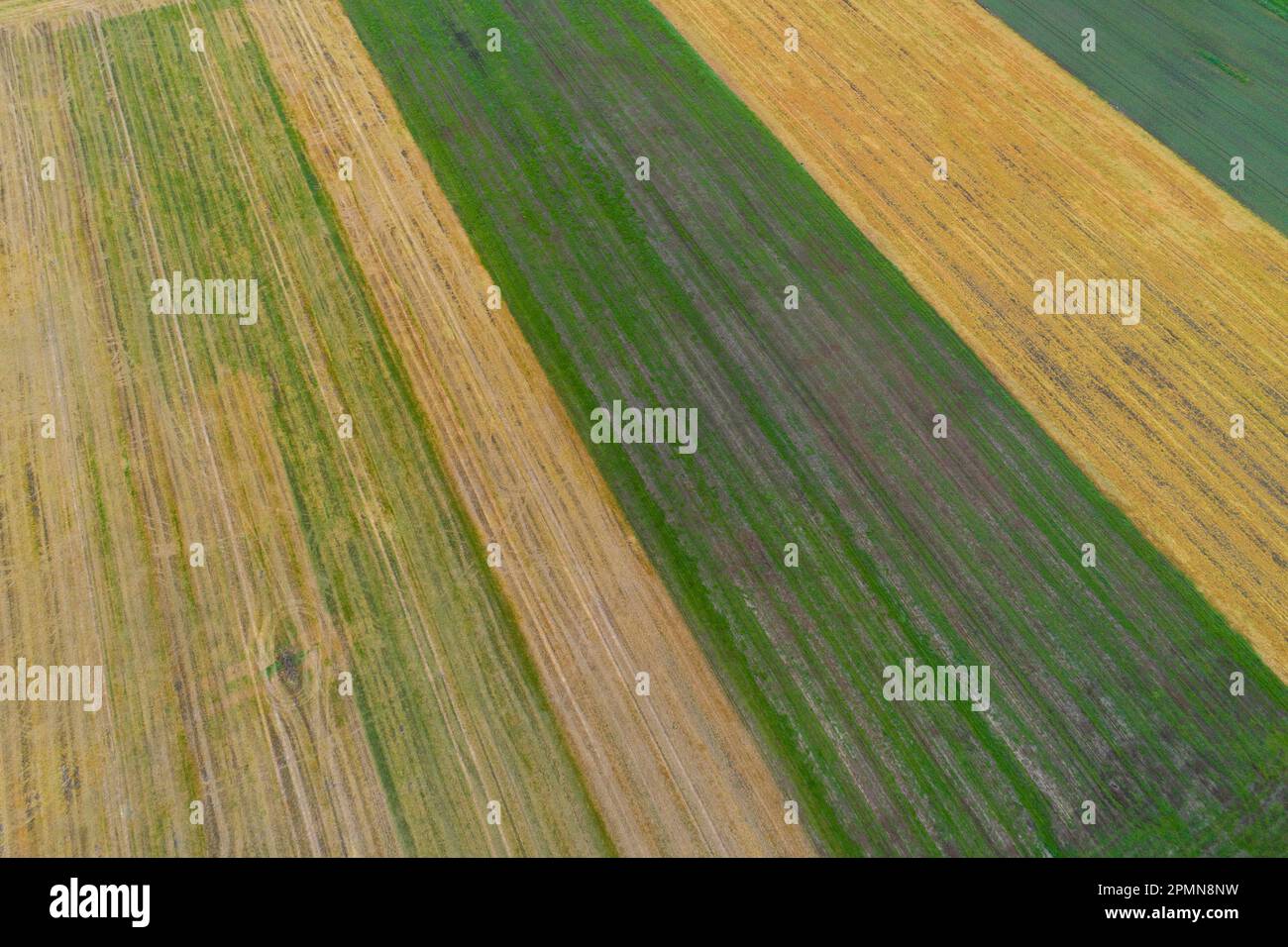 aerial view of green and yellow cultivated fields Stock Photo - Alamy