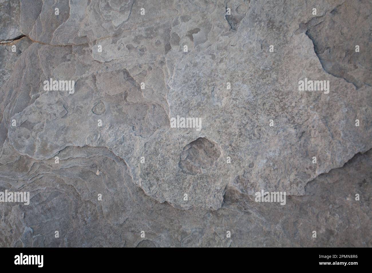 Old gray stone texture, rocky cement background, abstract backdrop ...