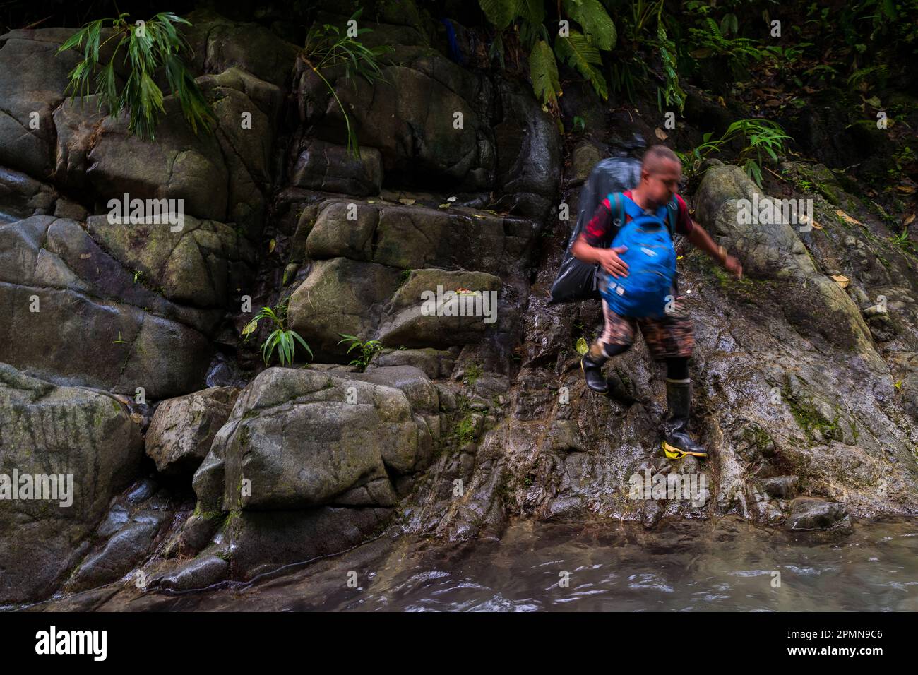 An Ecuadorian migrant climbs down a rocky trail in the wild and ...