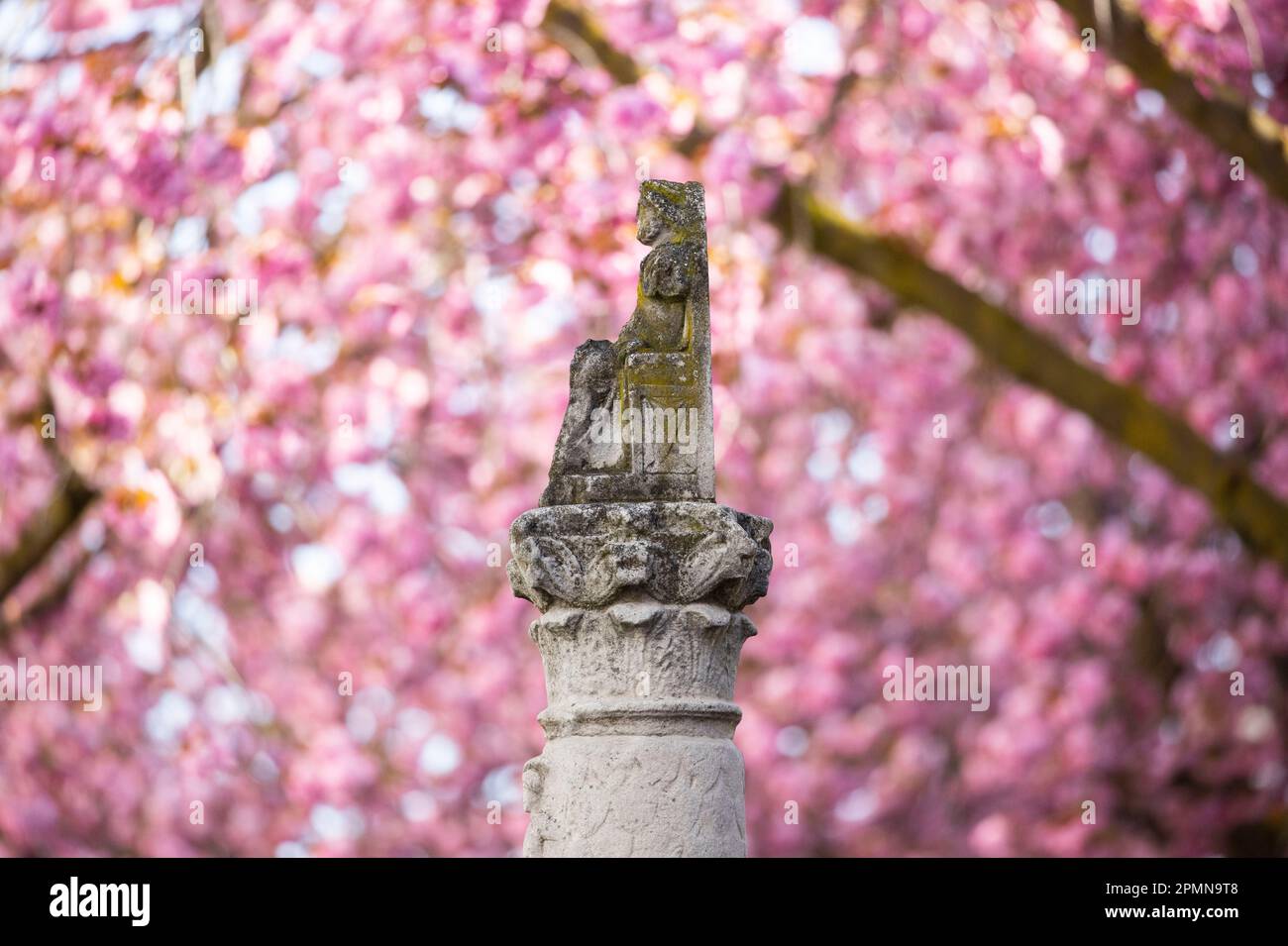 Bonn, Germany. 14th Apr, 2023. The Roman Jupiter column stands under ...